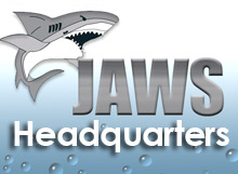 JAWS for Windows - программа экранного доступа